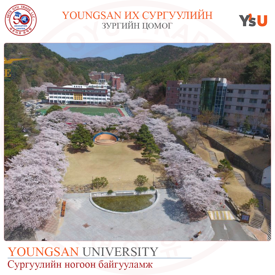 Сэц Оюу Трейд ХХК