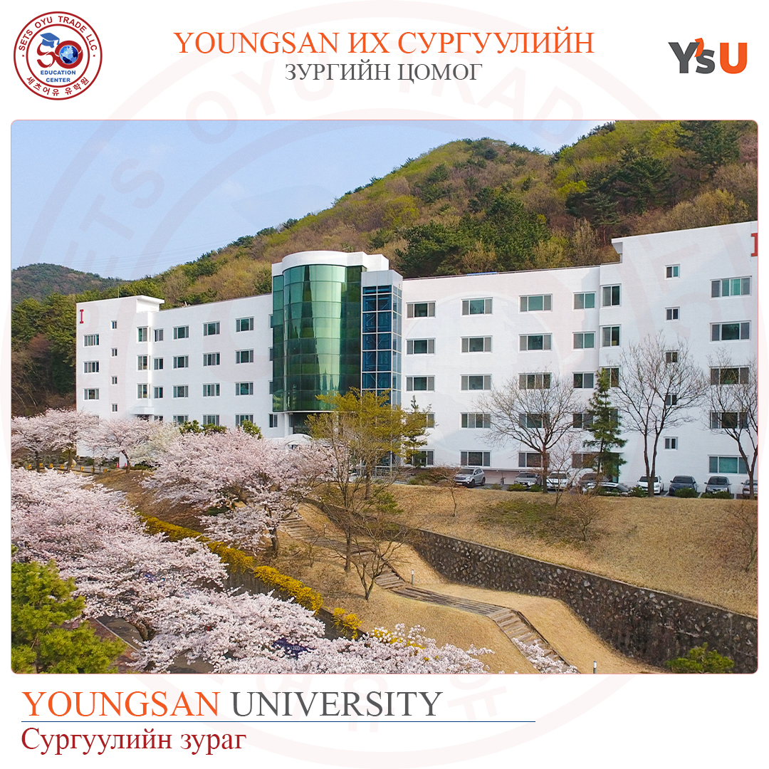 Сэц Оюу Трейд ХХК